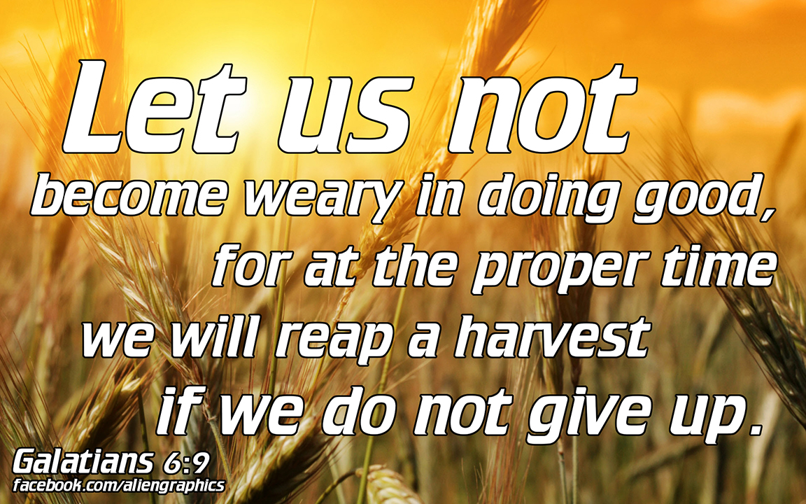 Visual Verse: Galatians 6:9 – Vulcan Stev's Database