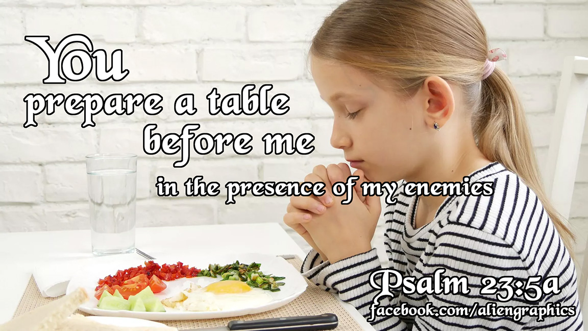 Visual Verse: Psalm 23:5 – Vulcan Stev's Database